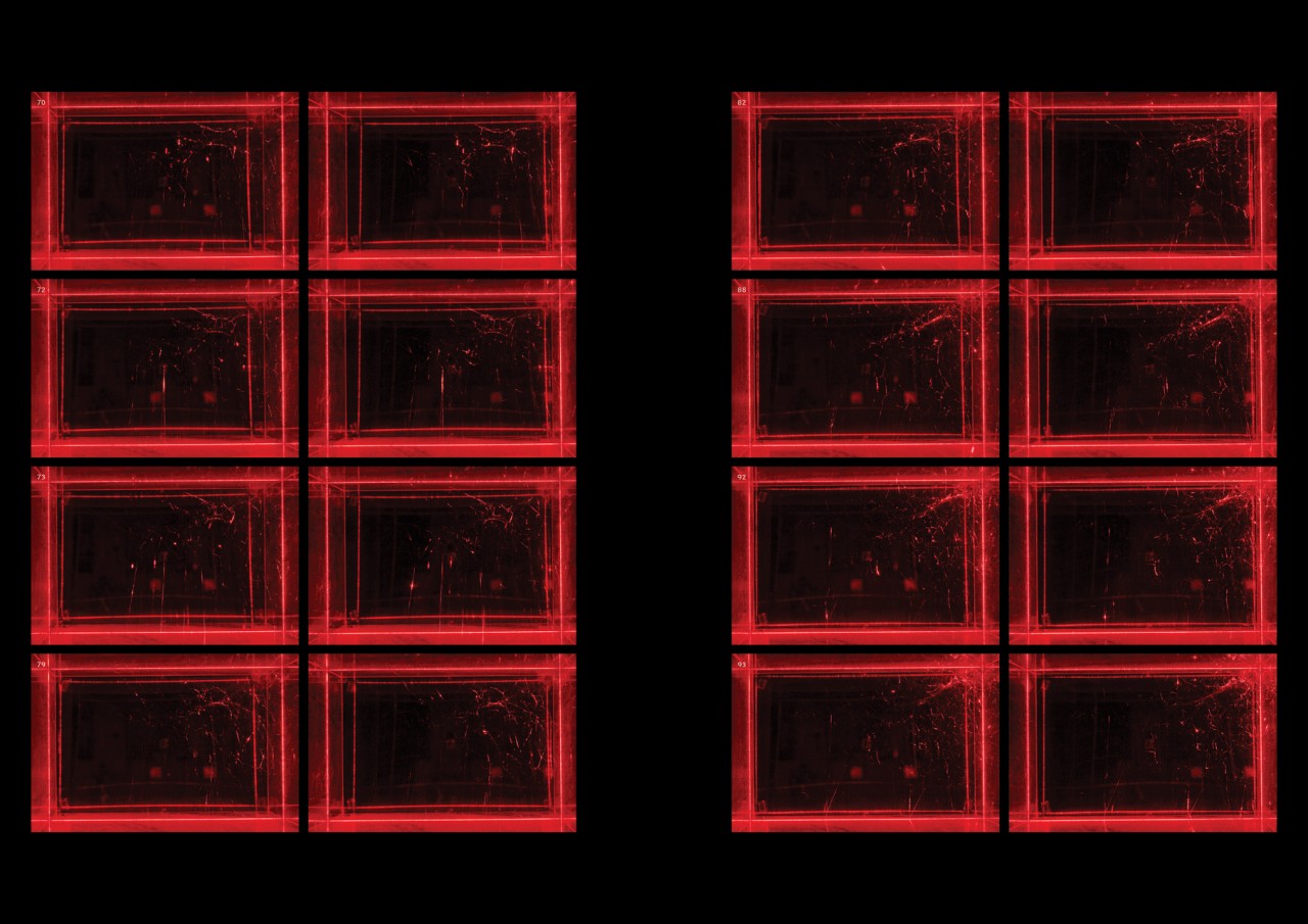 Arachnophilia.net — SCANNING THE WEB