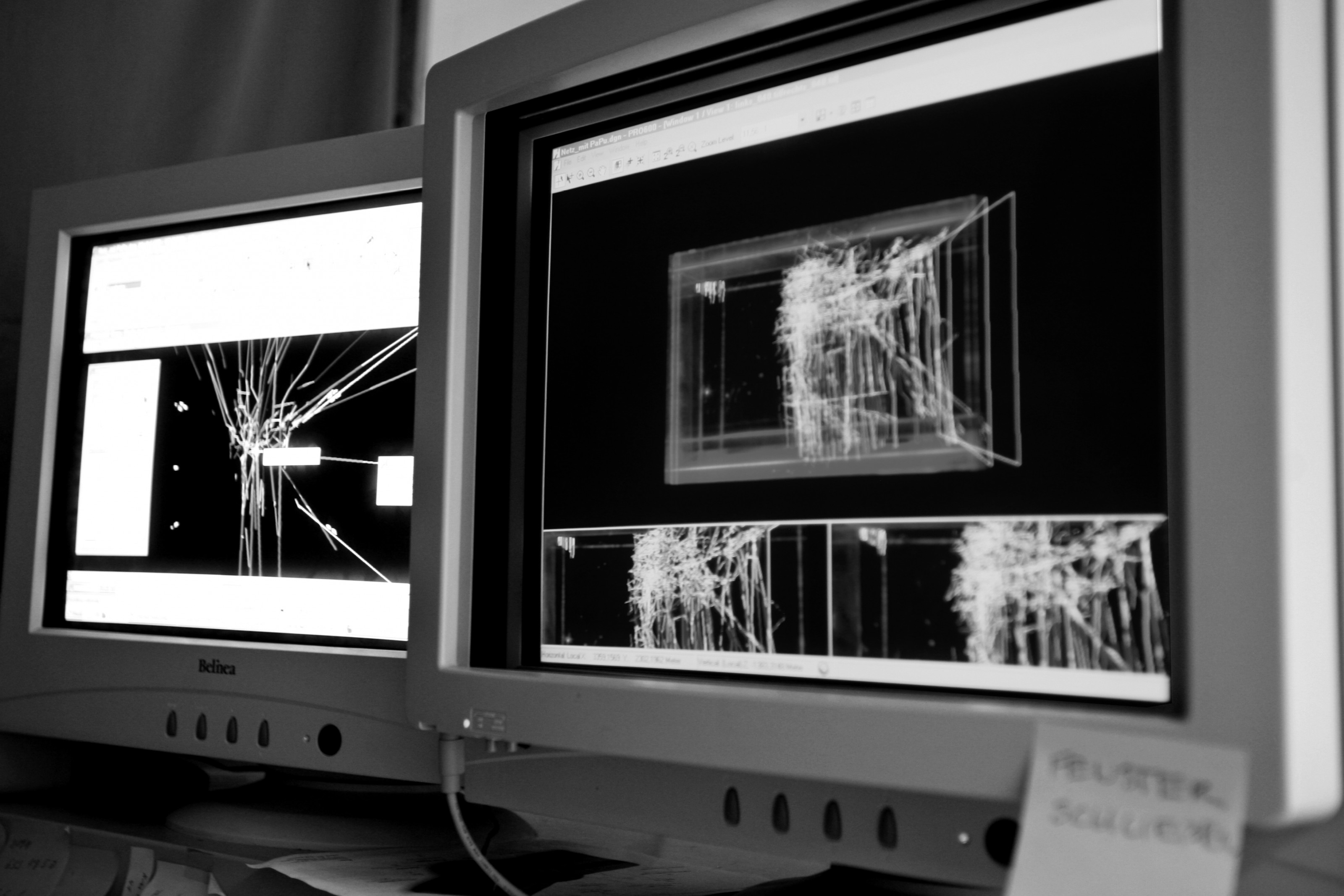 Arachnophilia.net — SCANNING THE WEB