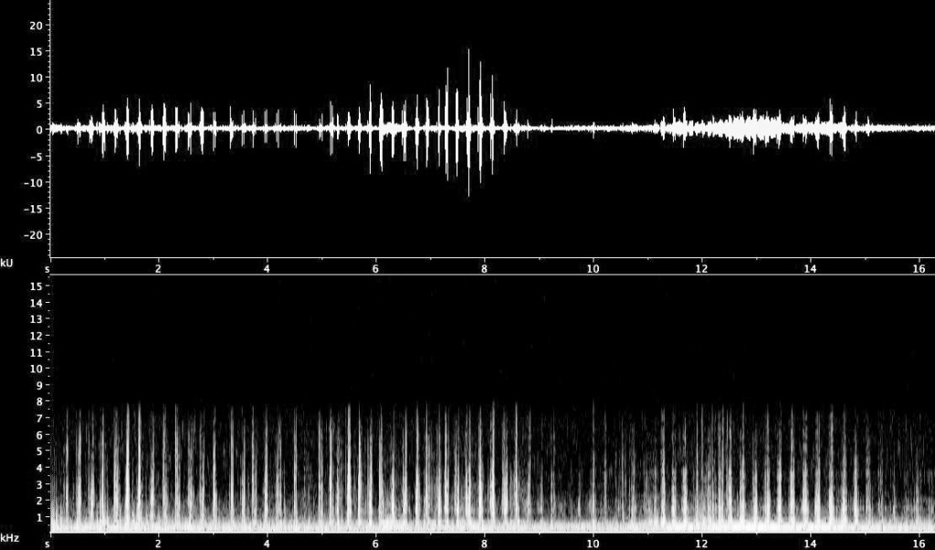 Arachnophilia.net — VIBRATIONS / SONIFYING