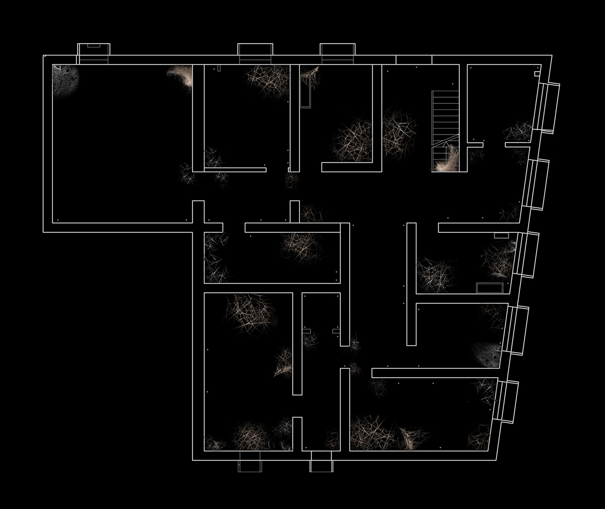 Arachnophilia.net — MAPPING AGAINST EXTINCTION