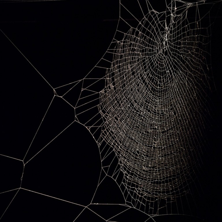 Arachnophilia.net — SPIDER/WEBS