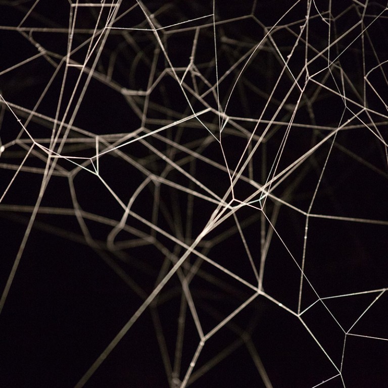 Arachnophilia.net — SPIDER/WEBS